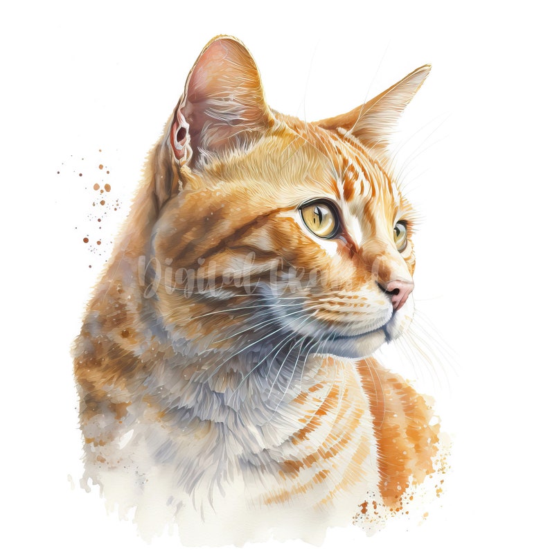 Ginger Tabby Cat Clipart 14 High Quality Jpgs Digital - Etsy