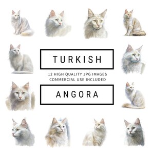 Turkish Angora Clipart 12 High Quality Jpgs Digital - Etsy