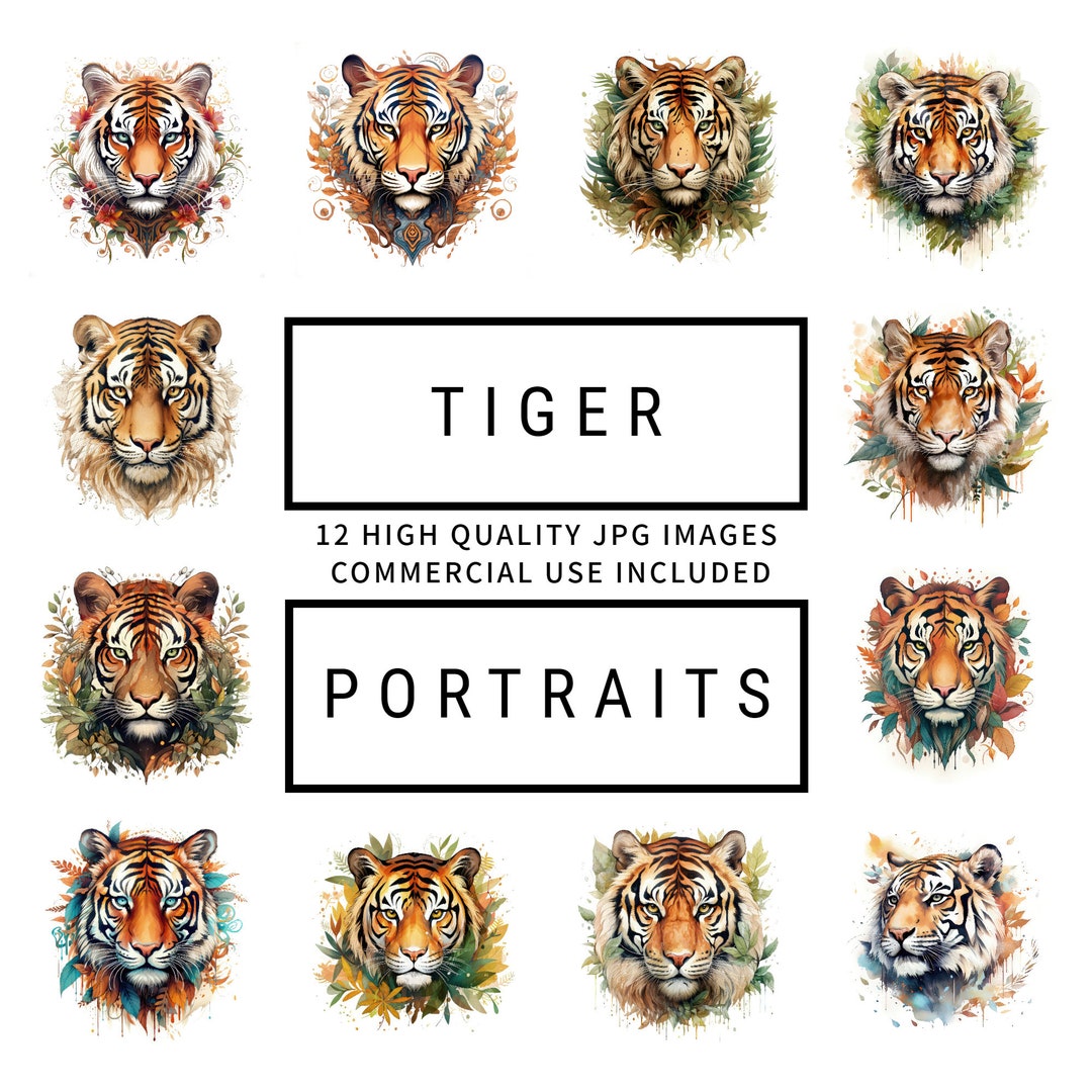 Tiger Portraits Clipart 12 High Quality Jpgs, Digital Planners, Junk ...