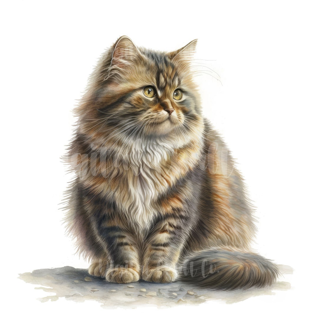 Cymric Cat Clipart 10 High Quality Jpgs Digital Planner, Junk ...