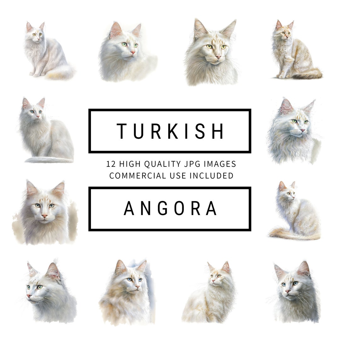 Turkish Angora Clipart 12 High Quality Jpgs, Digital Planner, Junk ...