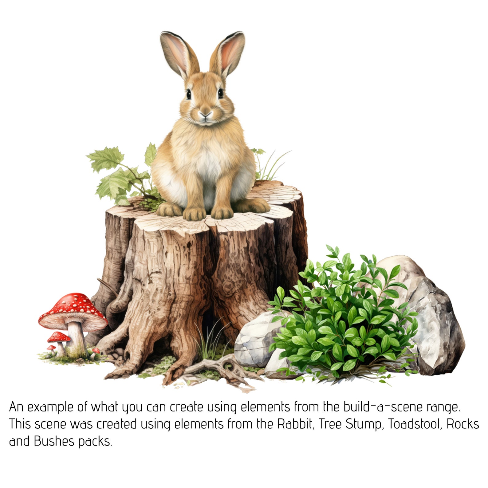 Build A Scene Forest Tree Stump Clipart 5 High Resolution Transparent ...