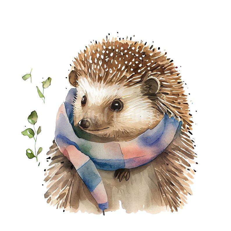 Winter Hedgehog Clipart 10 High Quality Jpgs Digital - Etsy