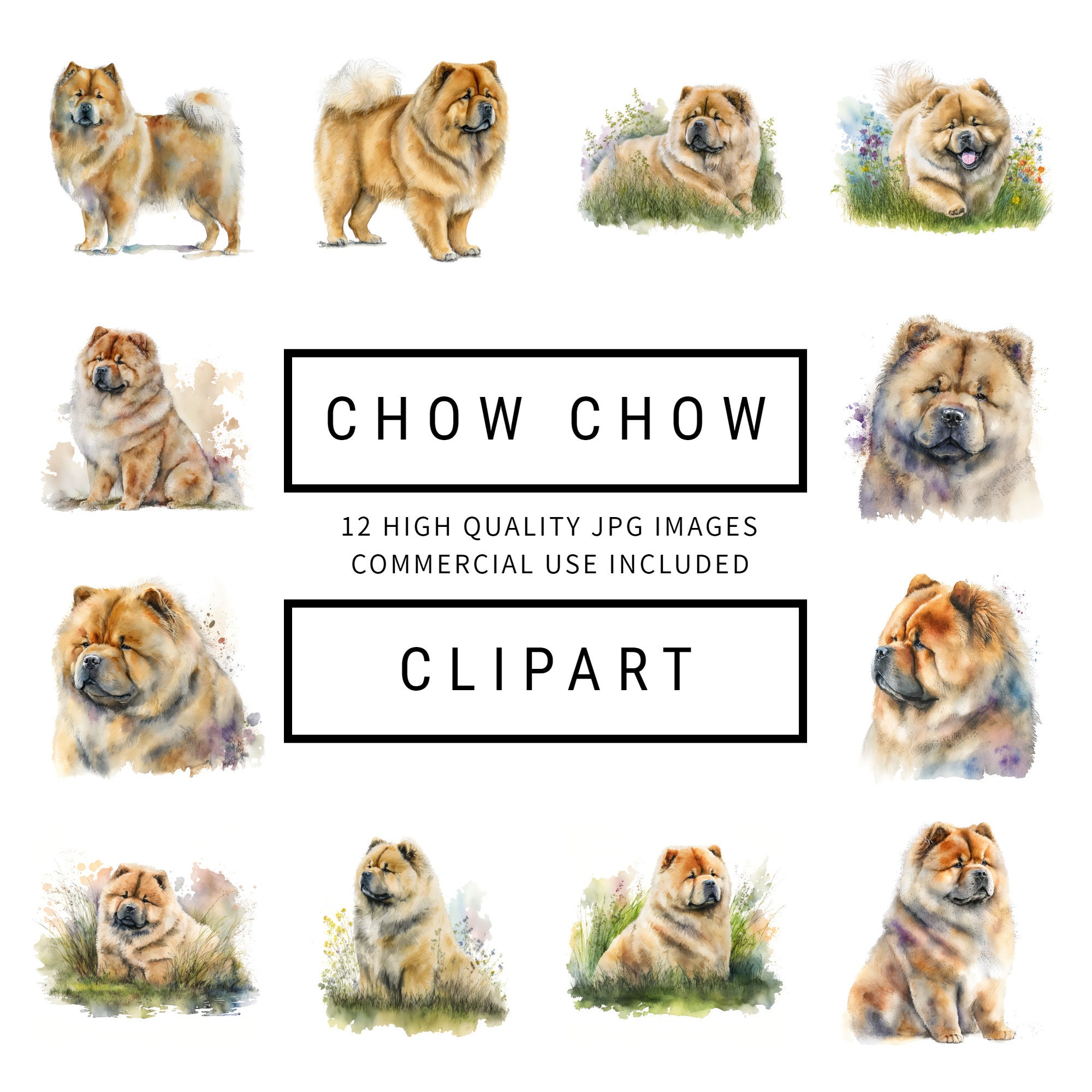 Chow Chow Dog Clipart 12 High Quality Jpgs Digital - Etsy