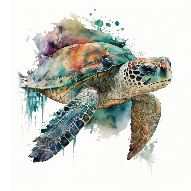 Sea Turtle Clipart 10 High Quality Jpgs Digital Download - Etsy