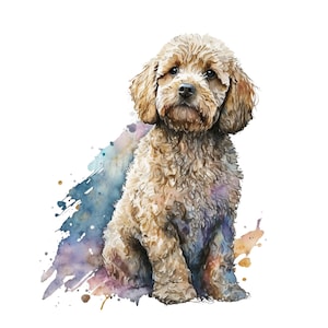 Cockapoo Clipart 10 High Quality Jpgs Digital Download Card Making ...