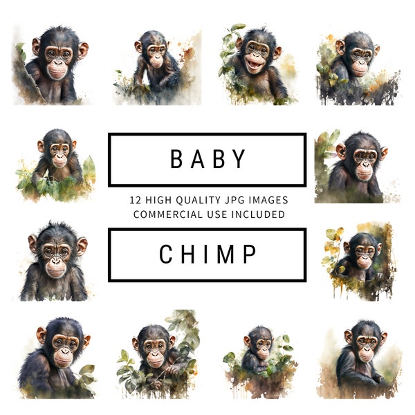 Baby Chimp - Etsy