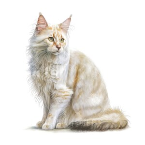 Turkish Angora Clipart 12 High Quality Jpgs, Digital Planner, Junk ...