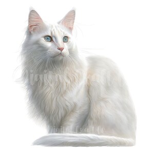 Turkish Angora Clipart 12 High Quality Jpgs, Digital Planner, Junk ...