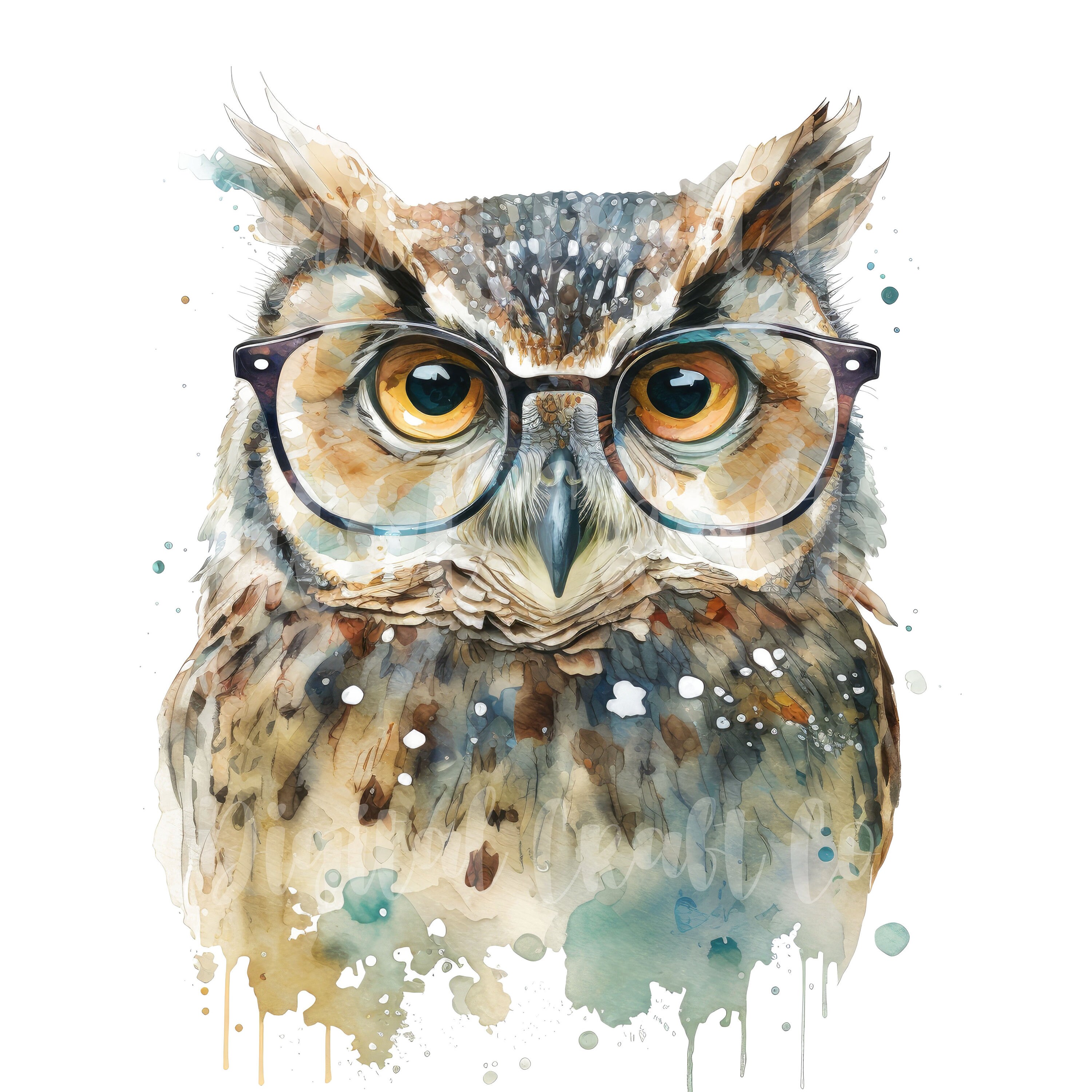 Owls in Glasses Clipart 12 High Quality Jpgs Apparel Wall - Etsy