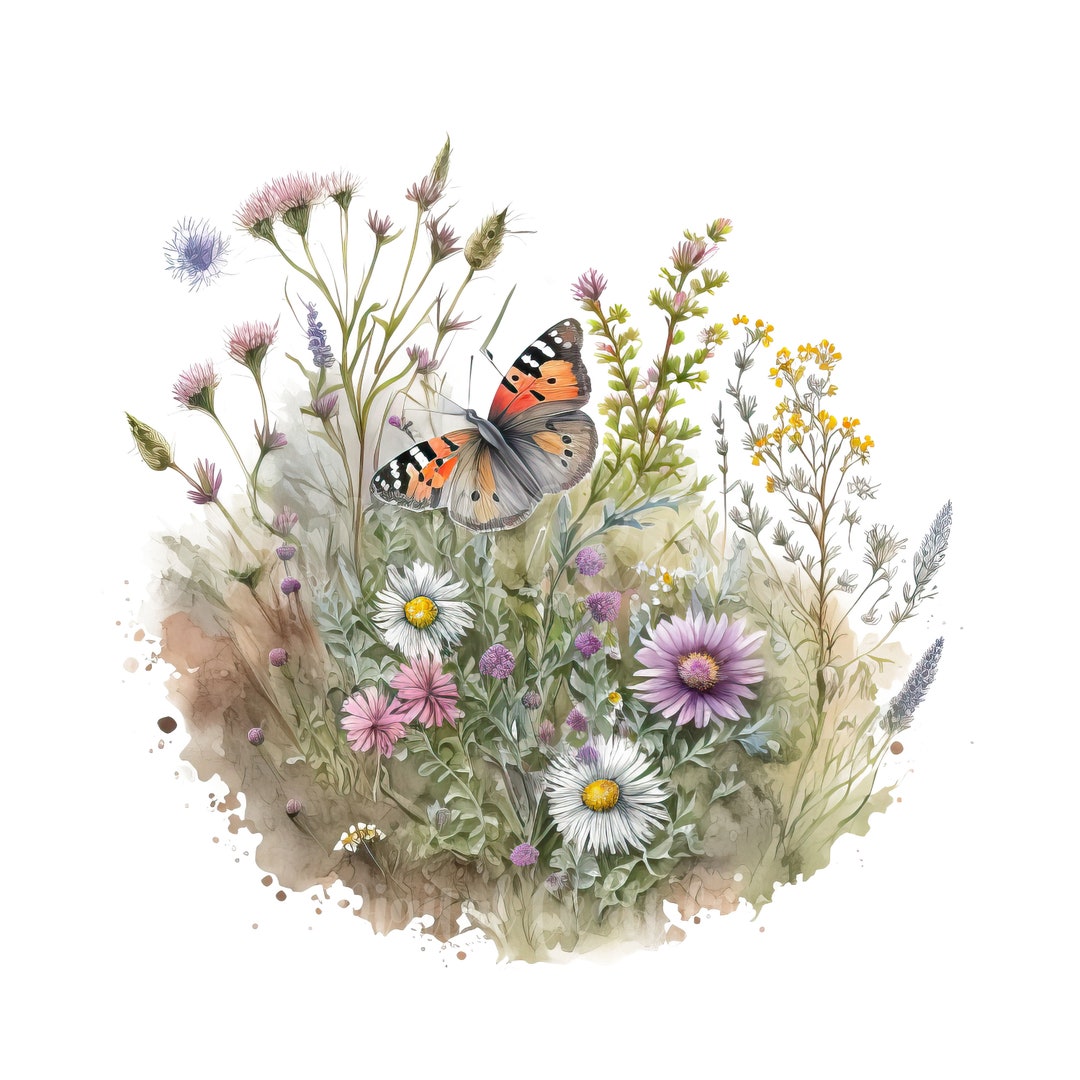 Butterfly on Wildflowers Clipart 10 High Quality Jpgs Digital Paper ...