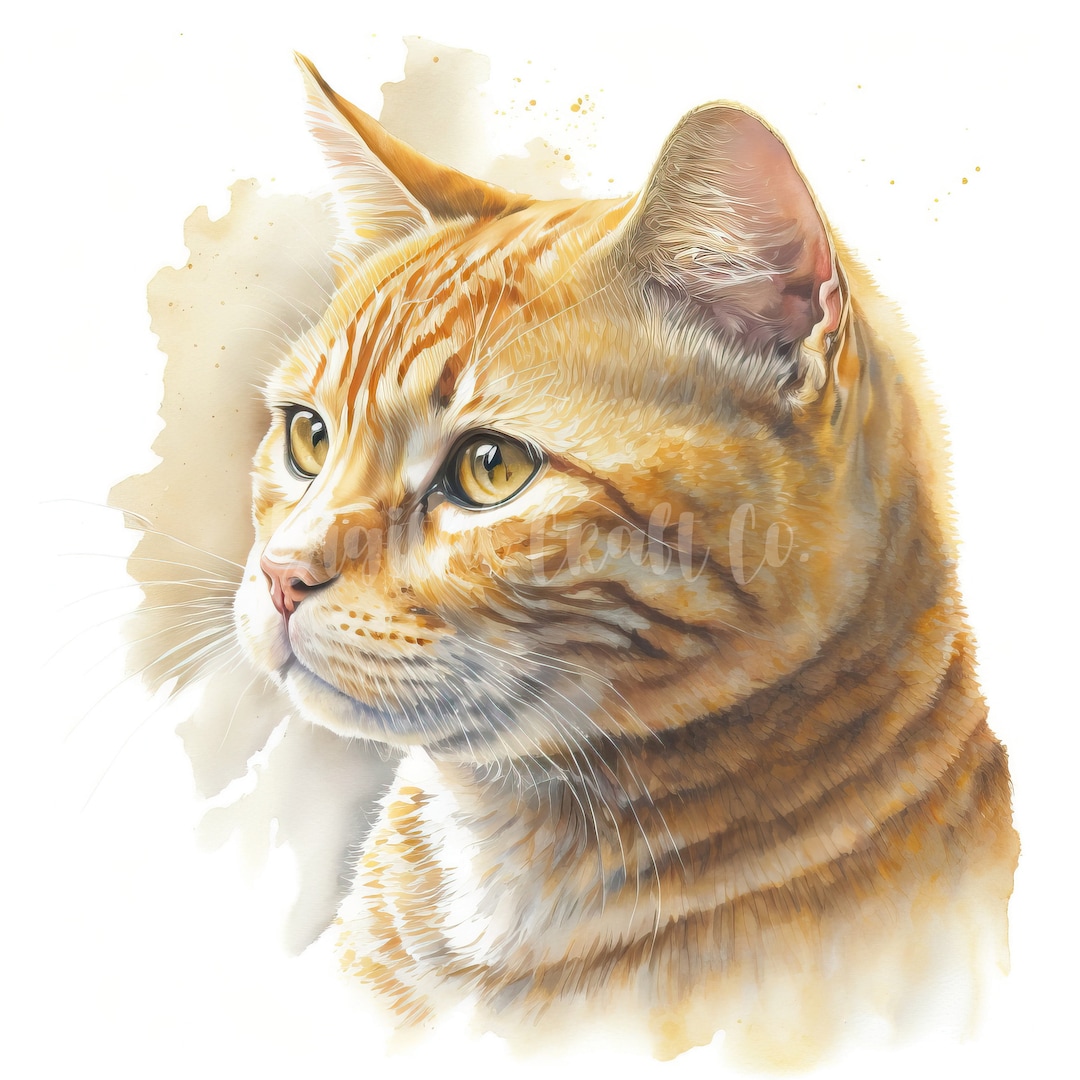 Ginger Tabby Cat Clipart 14 High Quality Jpgs Digital Download Card Making, Clip Art, Digital ...