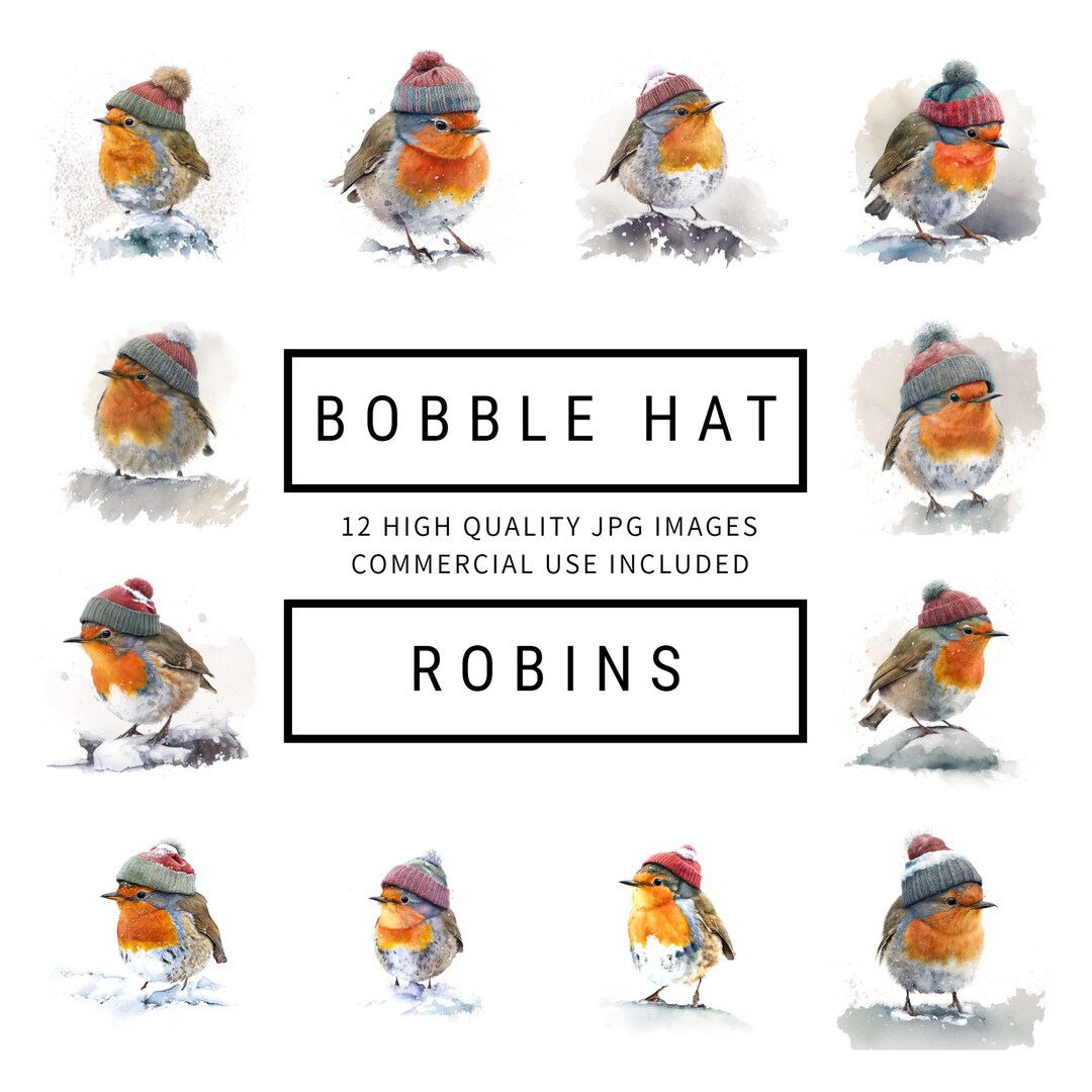 Bobble Hat Robin Clipart 12 High Quality Jpgs Digital Planner ...