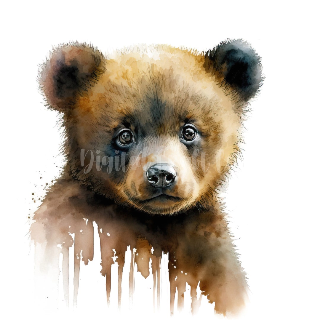 Baby Bear Clipart 10 High Quality Jpgs Scrap Books, Digital Paper Craft ...