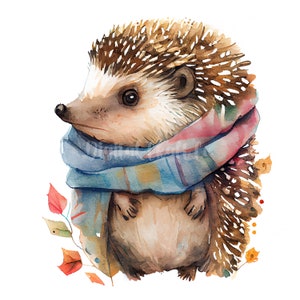 Winter Hedgehog Clipart 10 High Quality Jpgs Digital Download Card ...