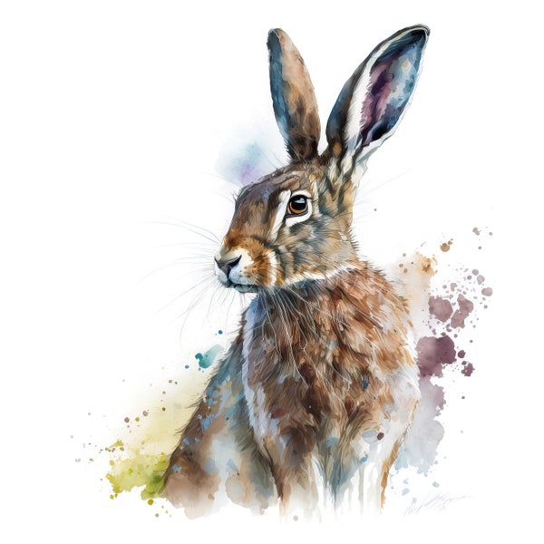 Hare Art - Etsy