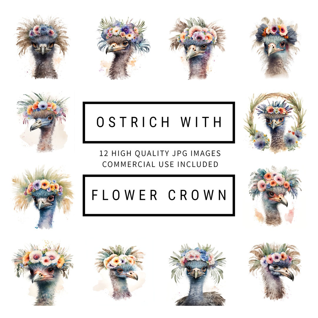 Ostrich & Flower Crown Clipart 12 High Quality Jpgs Digital Planner ...