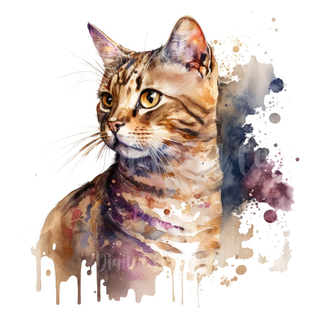 Assorted Cat Clipart Pack 10 High Quality Jpgs Digital Planner, Junk ...