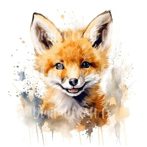 Fox Cub Portraits Clipart 12 High Quality Jpgs Digital - Etsy