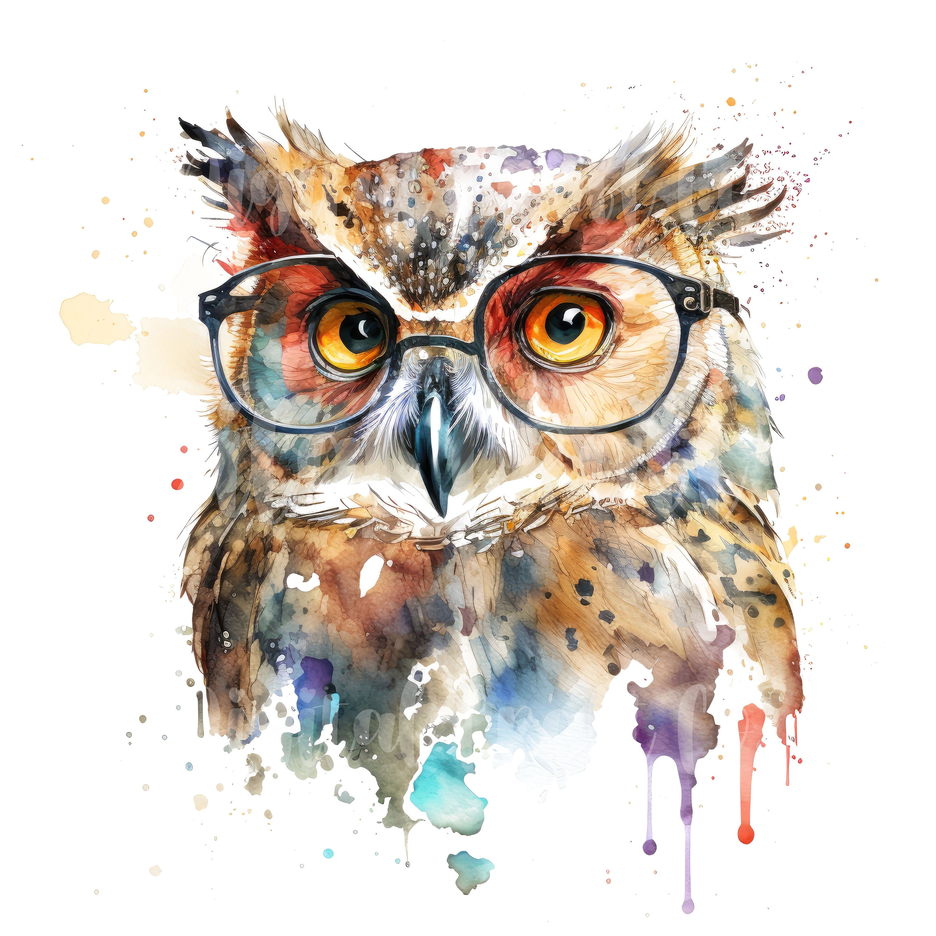 Owls in Glasses Clipart 12 High Quality Jpgs Apparel Wall - Etsy