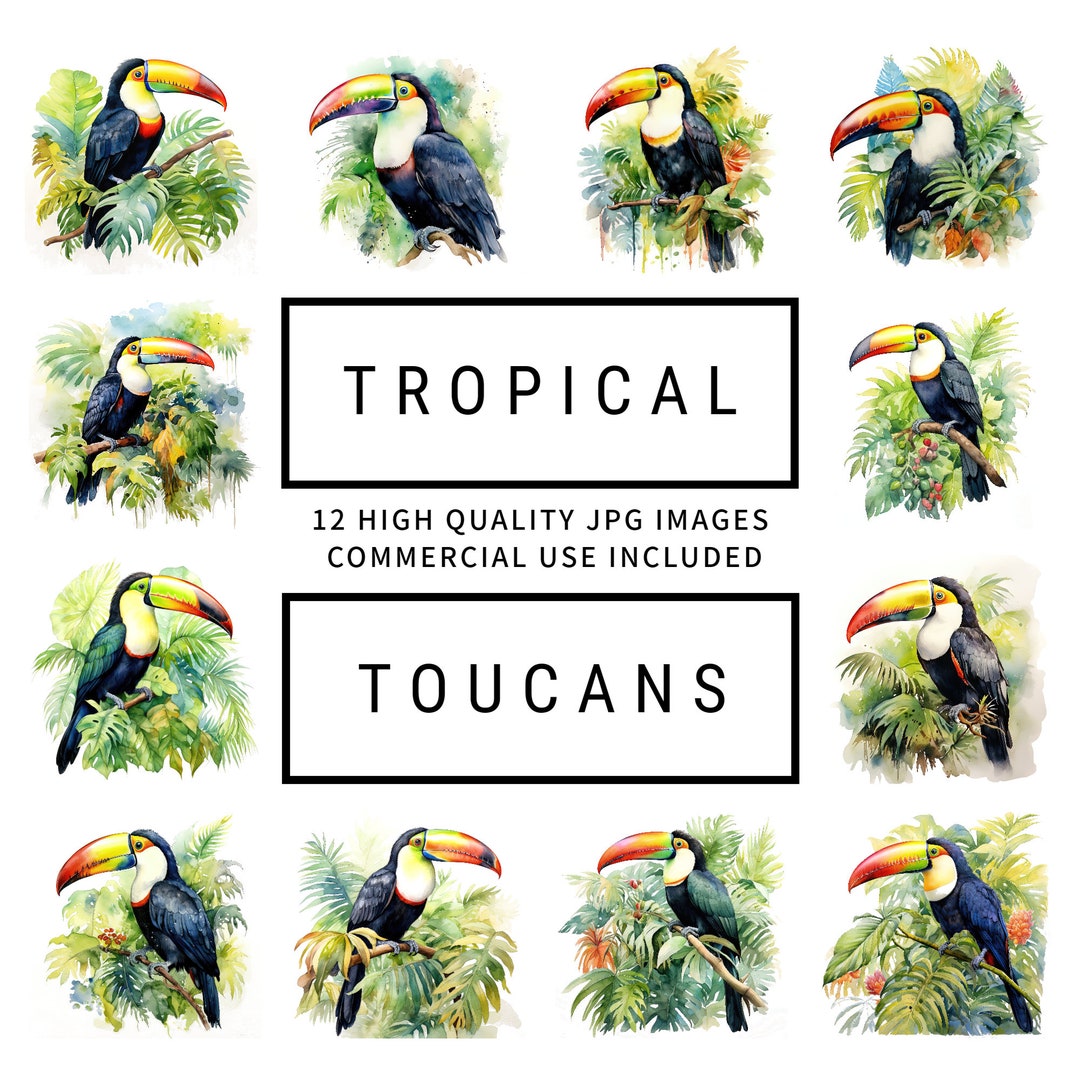 Tropical Toucans Clipart 12 High Quality Jpgs, Digital Planner, Junk ...