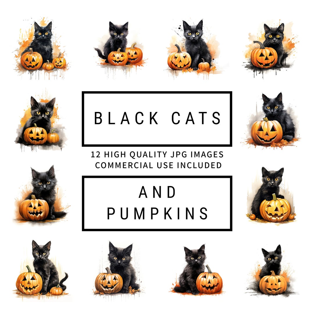 Black Cats and Pumpkins Clipart 12 High Quality Jpgs - Etsy