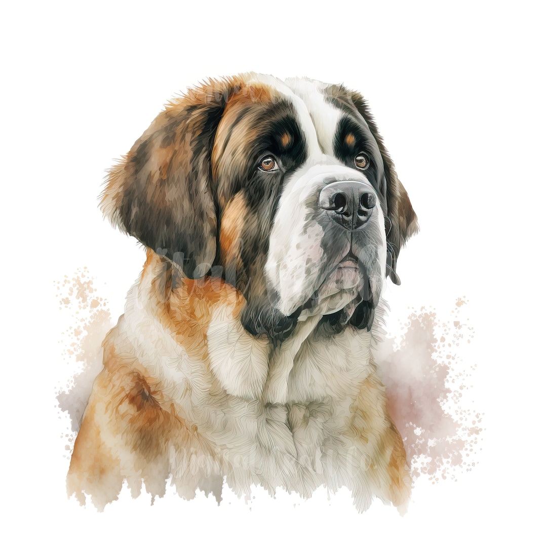 St. Bernard Clipart 10 High Quality Jpgs Digital Paper Crafting ...