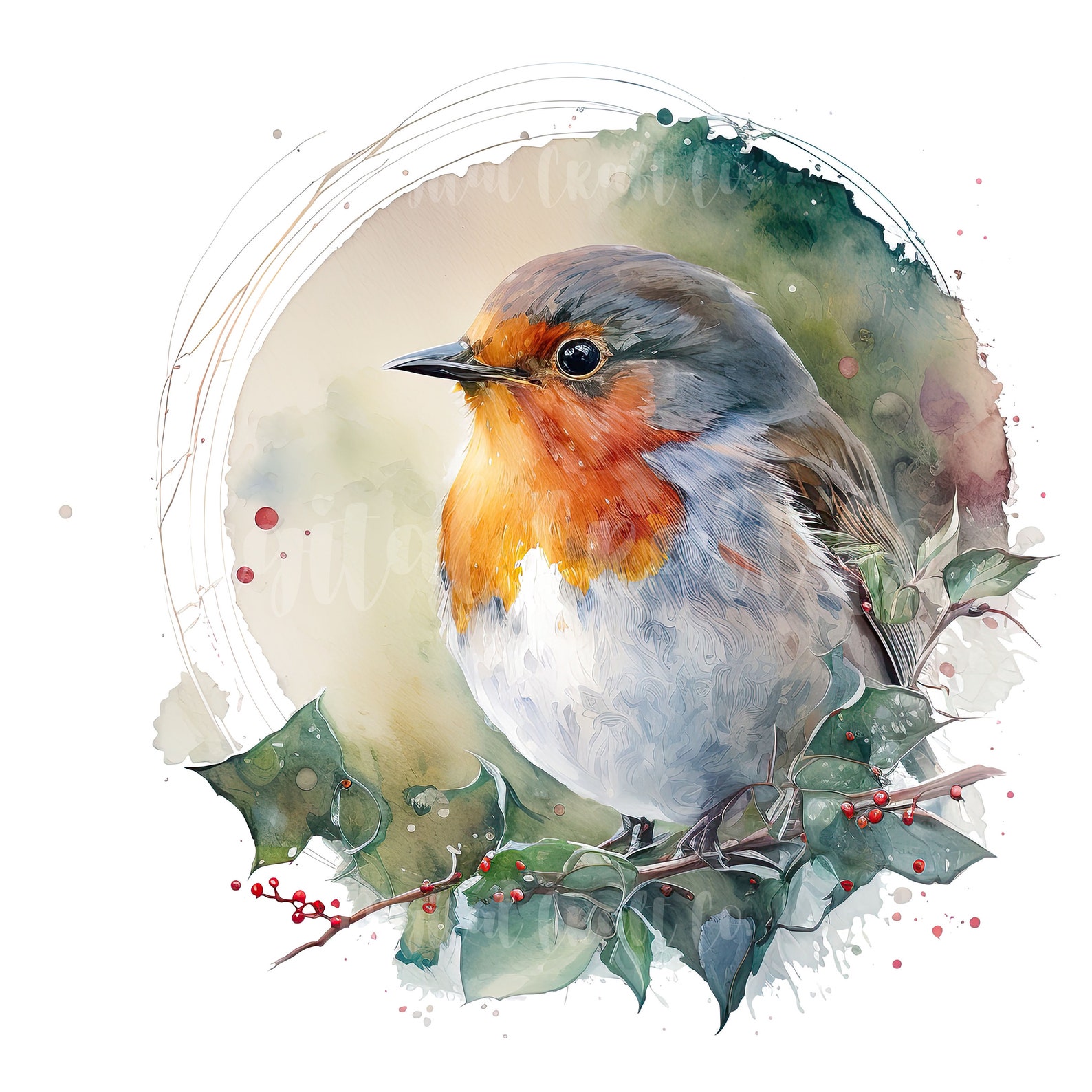 Christmas Robin Clipart 14 High Quality Jpegs Digital - Etsy UK