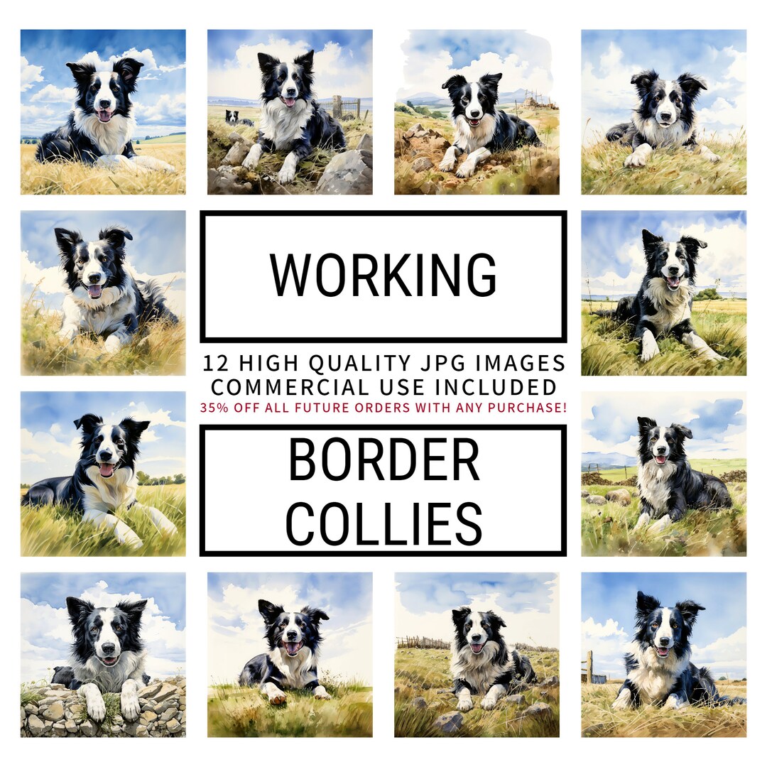 Working Border Collies Clipart 12 High Quality Jpgs, Cards, Junk ...