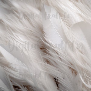 White Feathers 12 X 12 Digital Paper Pack, Scrapbook Papers, Junk ...