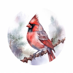 Red Cardinal Frames Clipart 12 High Quality Jpgs, Digital Planner, Junk ...