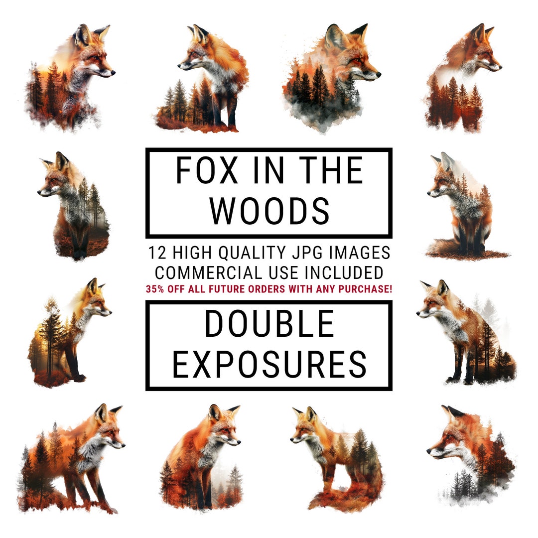 Double Exposure Fox in Woods Clipart 12 High Quality Jpgs Digital ...