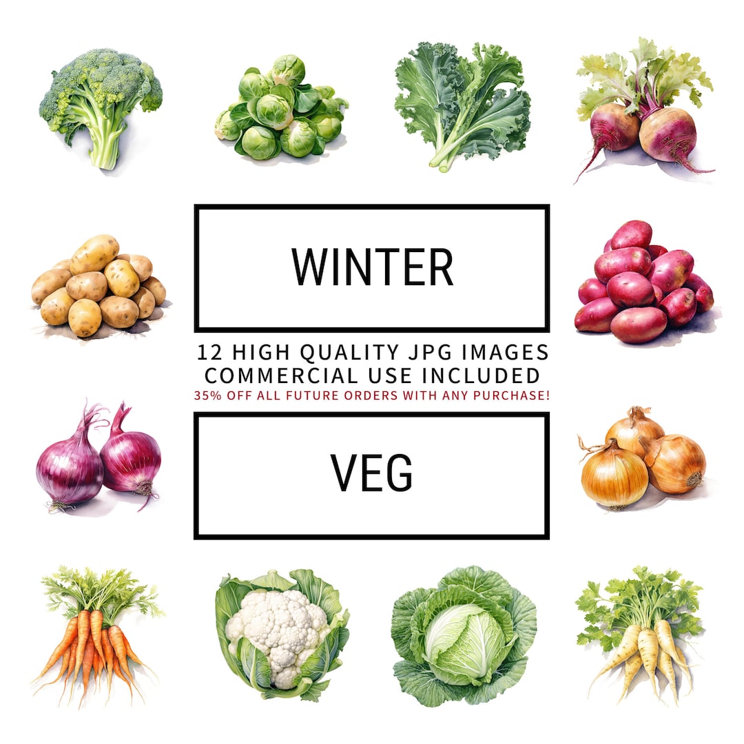 Winter Veg Clipart 12 High Quality Jpgs, Digital Planner, Junk Journals ...