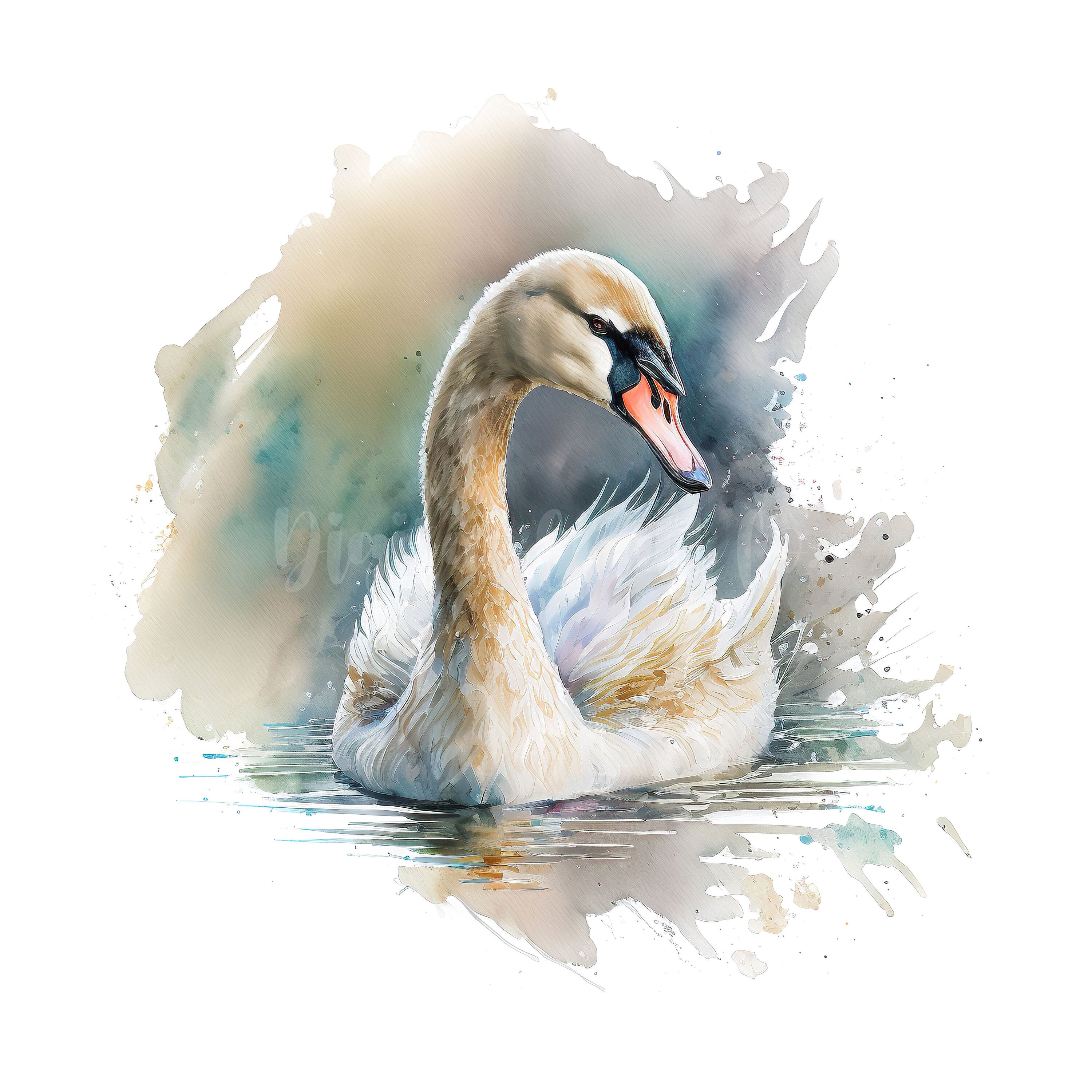 Swan Love Clipart Dividers