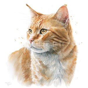 Ginger Tabby Cat Clipart 14 High Quality Jpgs Digital Download Card ...
