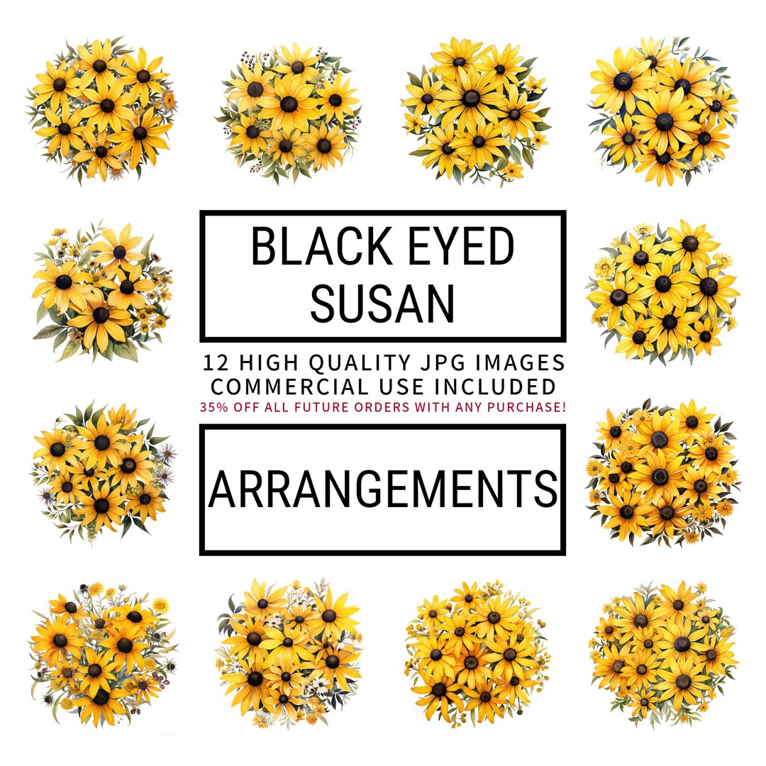 Black Eyed Susan Arrangements Clipart 12 High Quality Jpgs, Digital ...