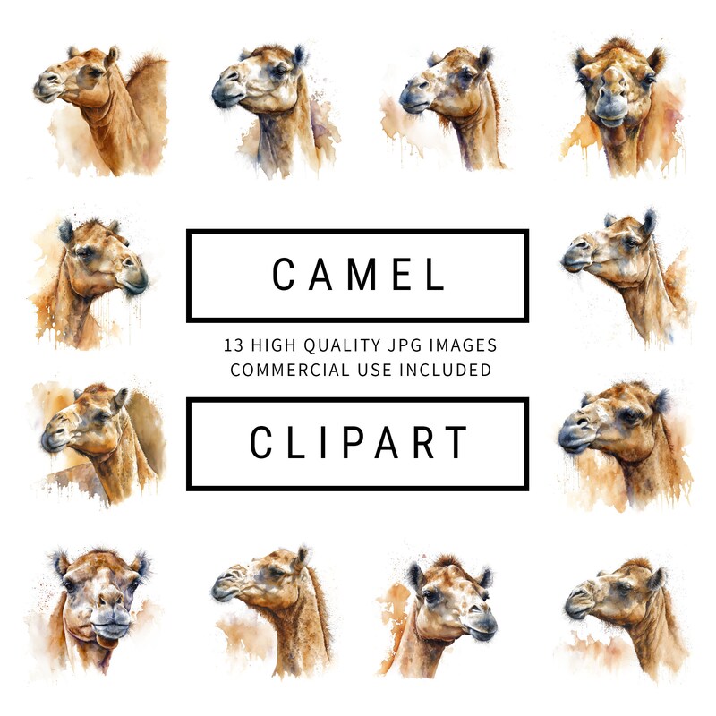 Camel Art - Etsy