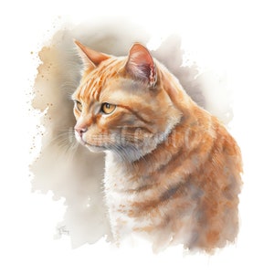 Ginger Tabby Cat Clipart 14 High Quality Jpgs Digital Download Card ...