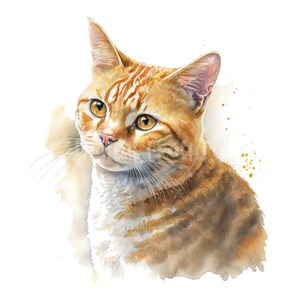 Ginger Tabby Cat Clipart 14 High Quality Jpgs Digital Download Card ...