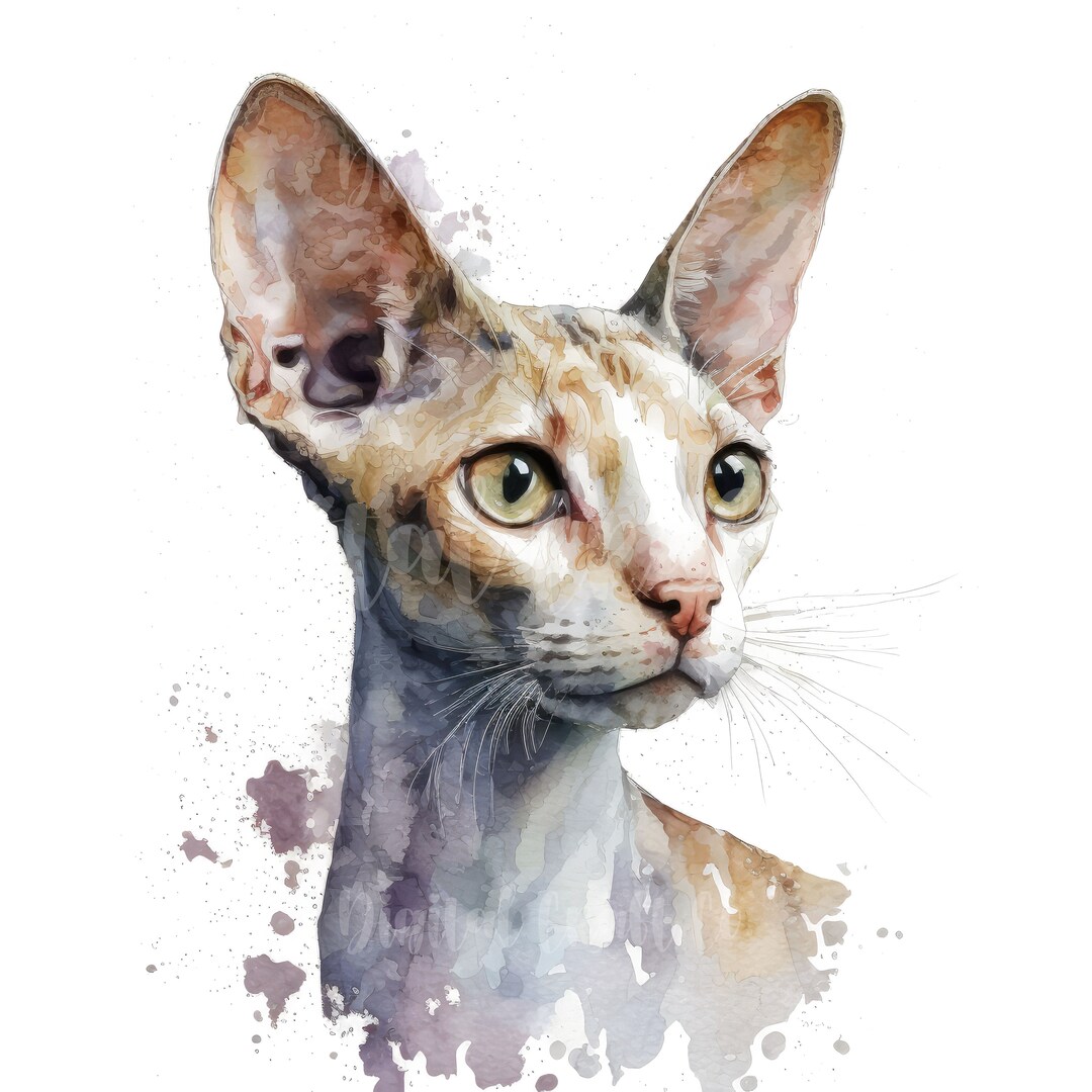 Cornish Rex Cat Clipart 11 High Quality Jpgs Digital Planner, Junk ...