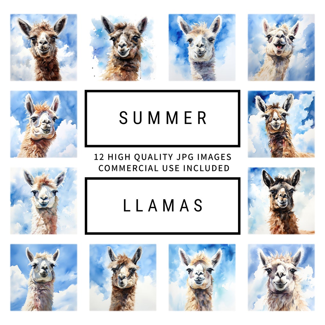 Summer Llamas Clipart 12 High Quality Jpgs, Digital Planners, Junk ...