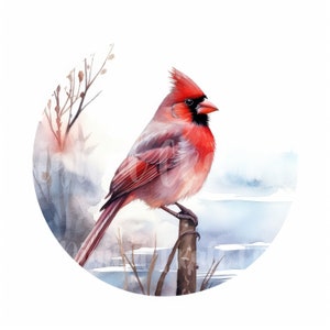 Red Cardinal Frames Clipart 12 High Quality Jpgs, Digital Planner, Junk ...