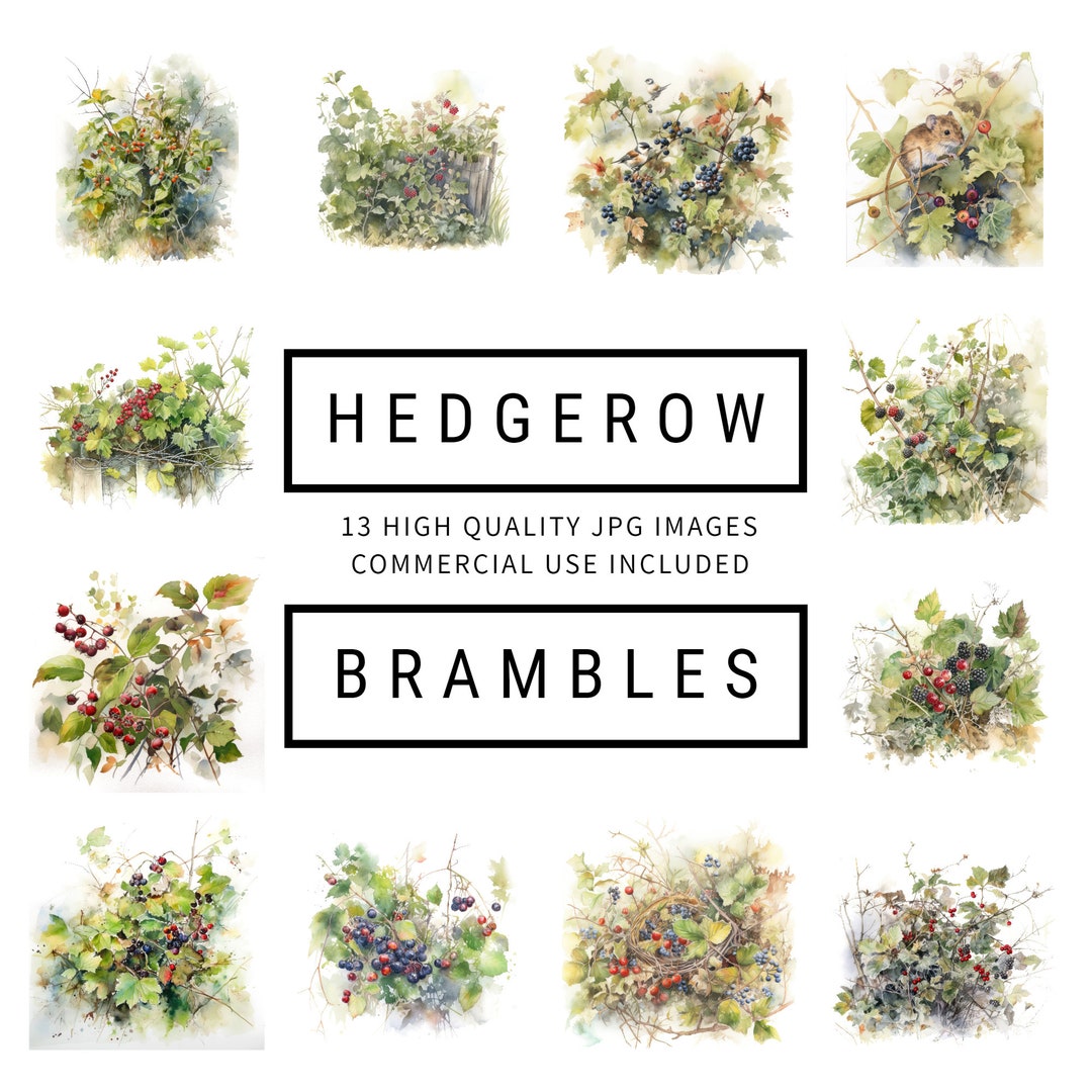 Hedgerow Brambles Clipart 13 High Quality Jpgs Digital Planner, Junk ...