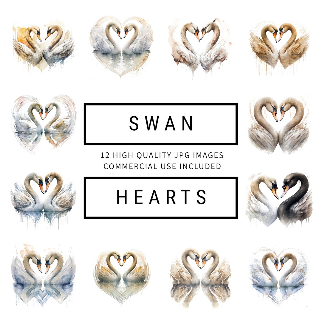 Swan Hearts Clipart 12 High Quality Jpgs Digital Planner - Etsy