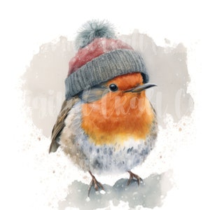 Bobble Hat Robin Clipart 12 High Quality Jpgs Digital - Etsy