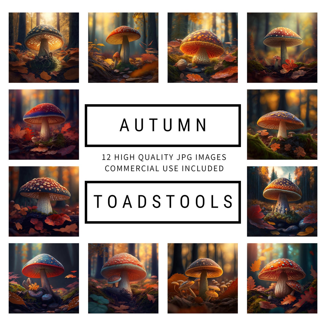 Autumn Toadstool Clipart 12 High Quality Jpgs Digital Planner, Junk ...