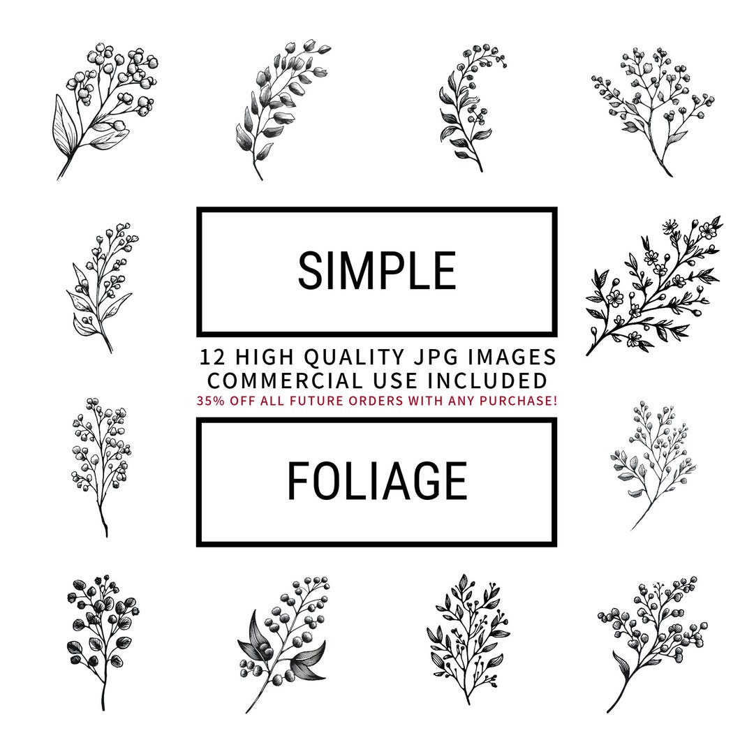 Simple Foliage Clipart 12 High Quality Jpgs, Scrapbooking, Memory Books ...