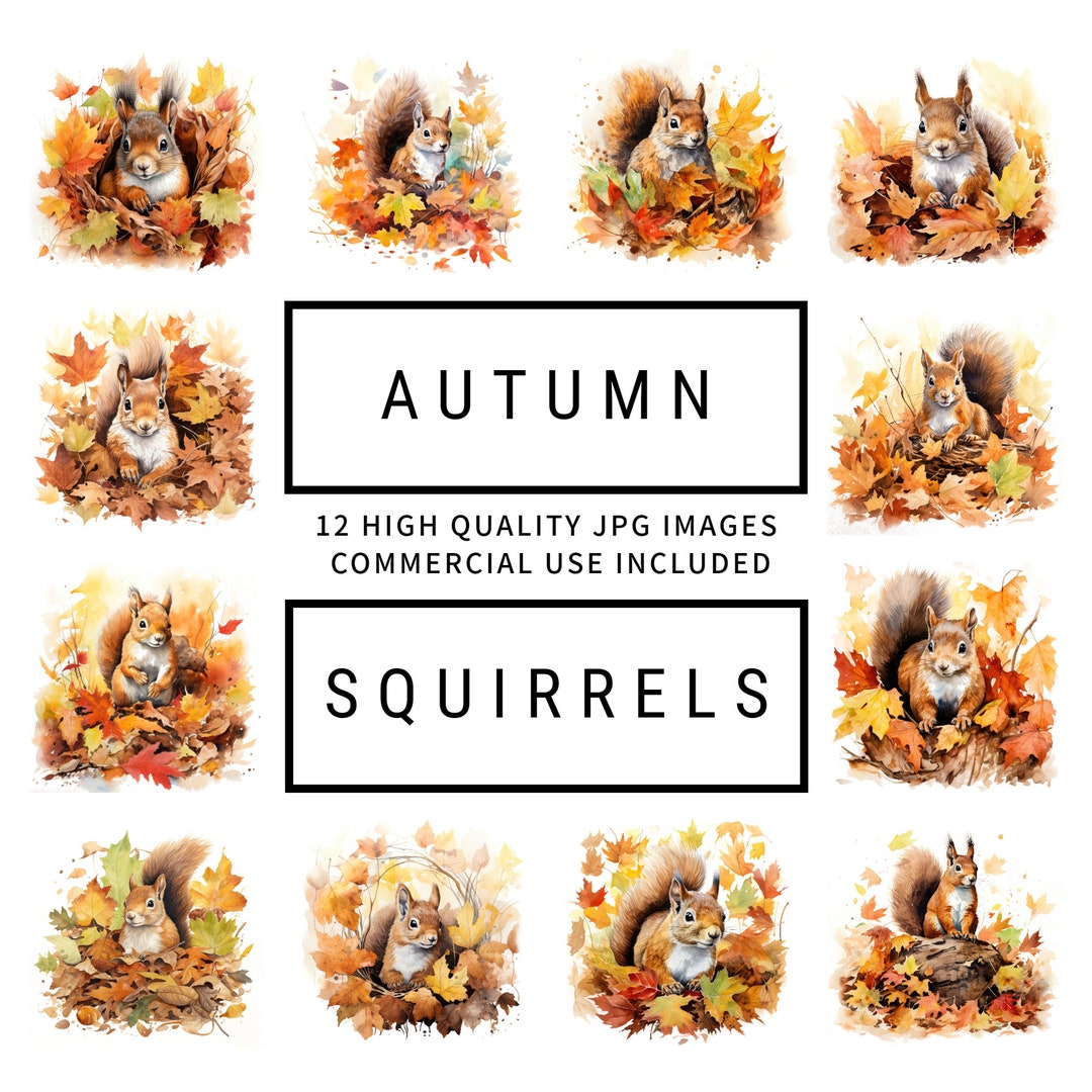 Autumn Squirrels Clipart 12 High Quality Jpgs, Digital Planner, Junk ...