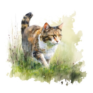 Prowling Cats Clipart 12 High Quality Jpgs Digital Planner, Junk ...