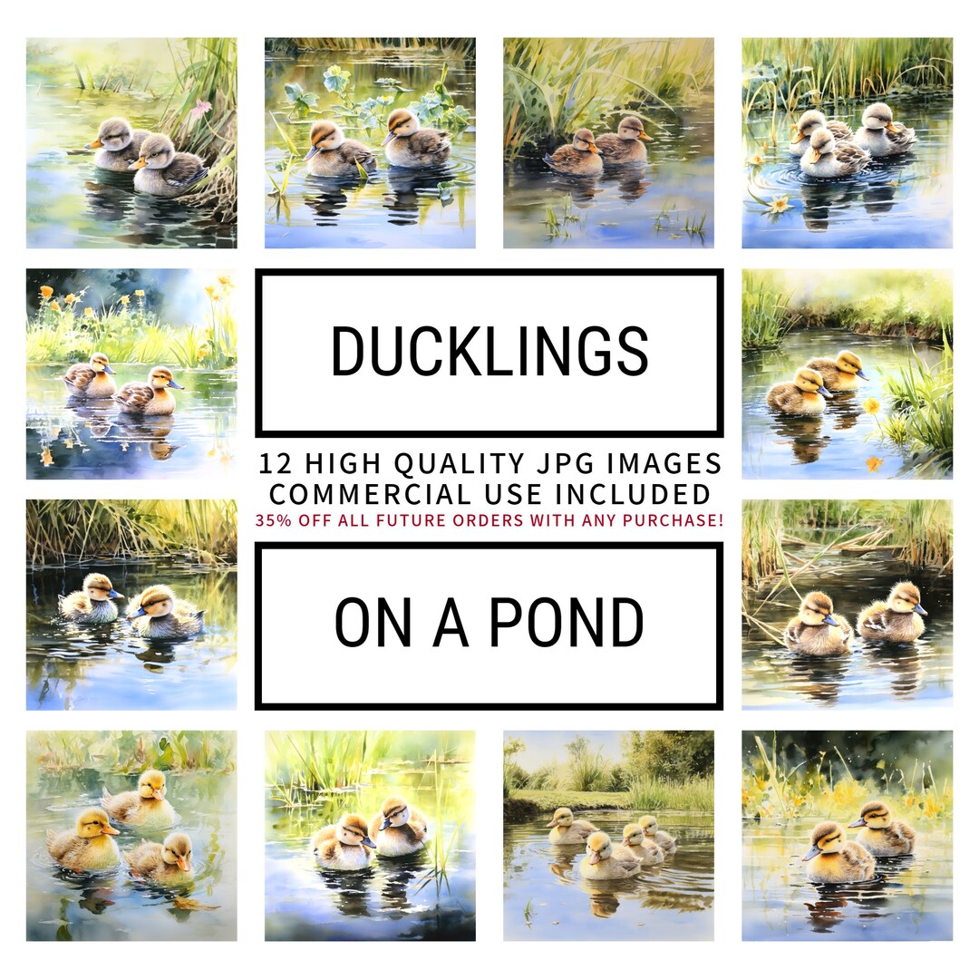 Ducklings on a Pond Clipart 12 High Quality Jpgs, Digital Planner, Junk ...